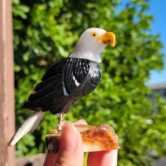 Other | New 4 Peruvian Black Obsidian Eagle | Poshmark